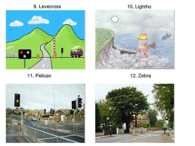 Lesson 1 Mimics | PPT