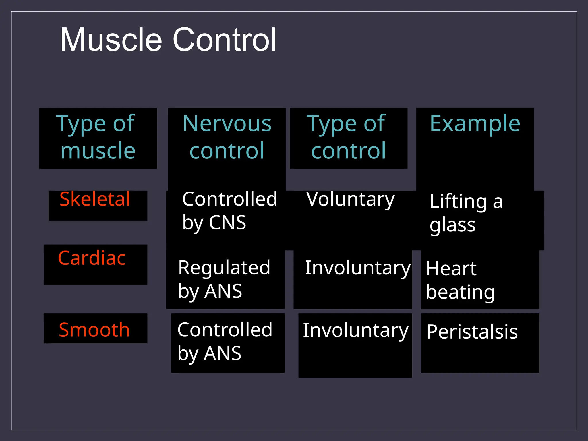 Lesson 1 - Muscular System for high school.ppt.pptx