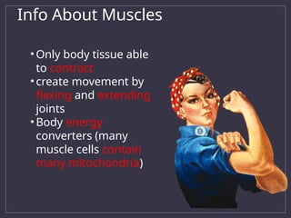 Lesson 1 - Muscular System for high school.ppt.pptx