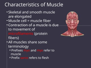 Lesson 1 - Muscular System for high school.ppt.pptx