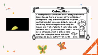 LESSON 1 - NOTING DETAILS.pdf