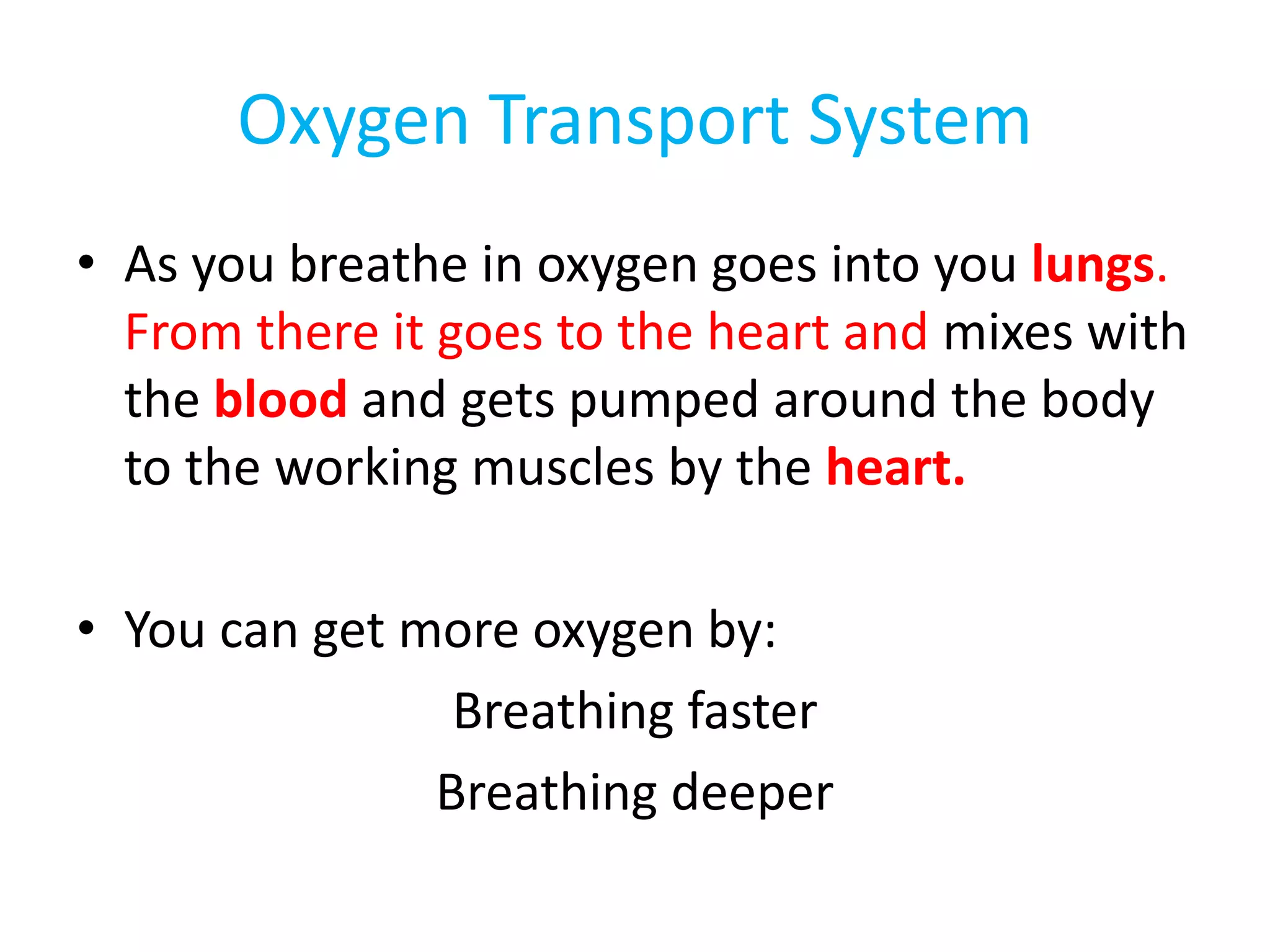 Lesson1 oxygen transport system, warming up and cooling down | PPTX