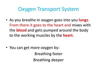 Lesson1 oxygen transport system, warming up and cooling down | PPT