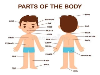 GRADE 1 MAPEH - PARTS OF THE BODY | PPTX