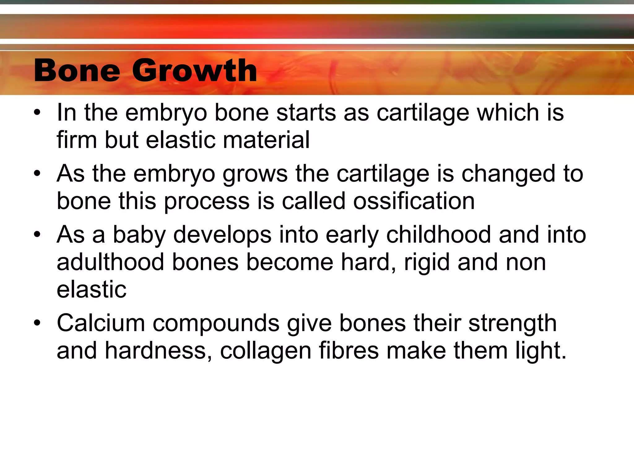 Lesson 1 skeletal system | PPT