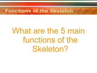 Lesson 1 skeletal system | PPT
