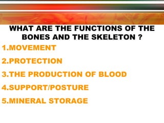 Lesson 1 skeletal system | PPT