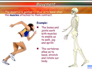 Lesson 1 skeletal system | PPT