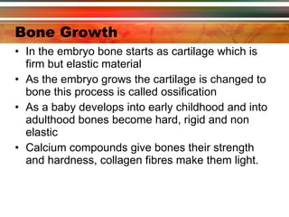 Lesson 1 skeletal system | PPT