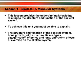 Lesson 1 skeletal system | PPT