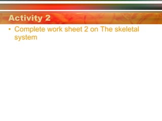 Lesson 1 skeletal system | PPT
