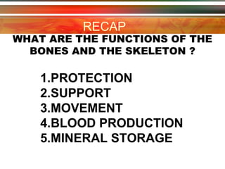 Lesson 1 skeletal system | PPT