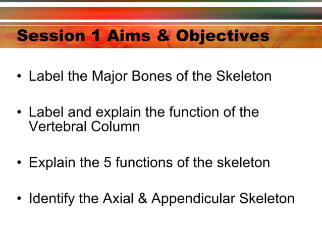 Lesson 1 skeletal system | PPT