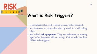 Risk Management | PPT