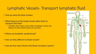 Lesson 1- lymphatic system-functions(6).pptx