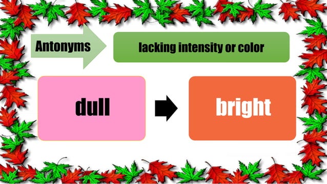Lesson 1 - Synonyms and Antonyms Lesson.pptx