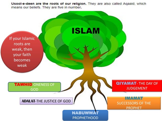 LESSON 1 - TAWHID.pdf | Islam | Religion & Spirituality