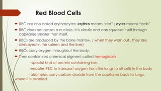 The Circulatory System also known as the cardiovascular system | PPTX