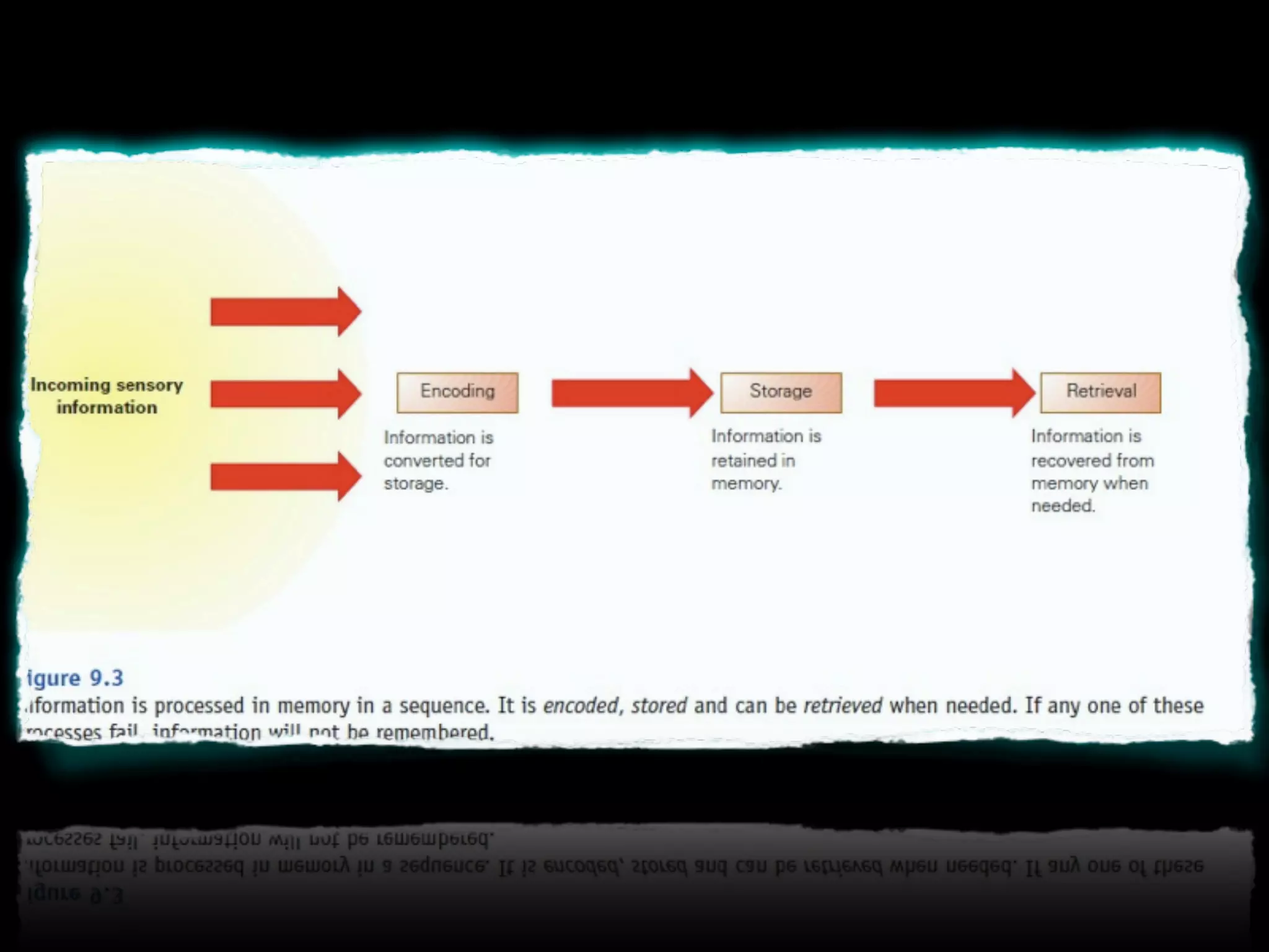 Lesson 1 the processes of memory 2012 (slideshare) | PPT