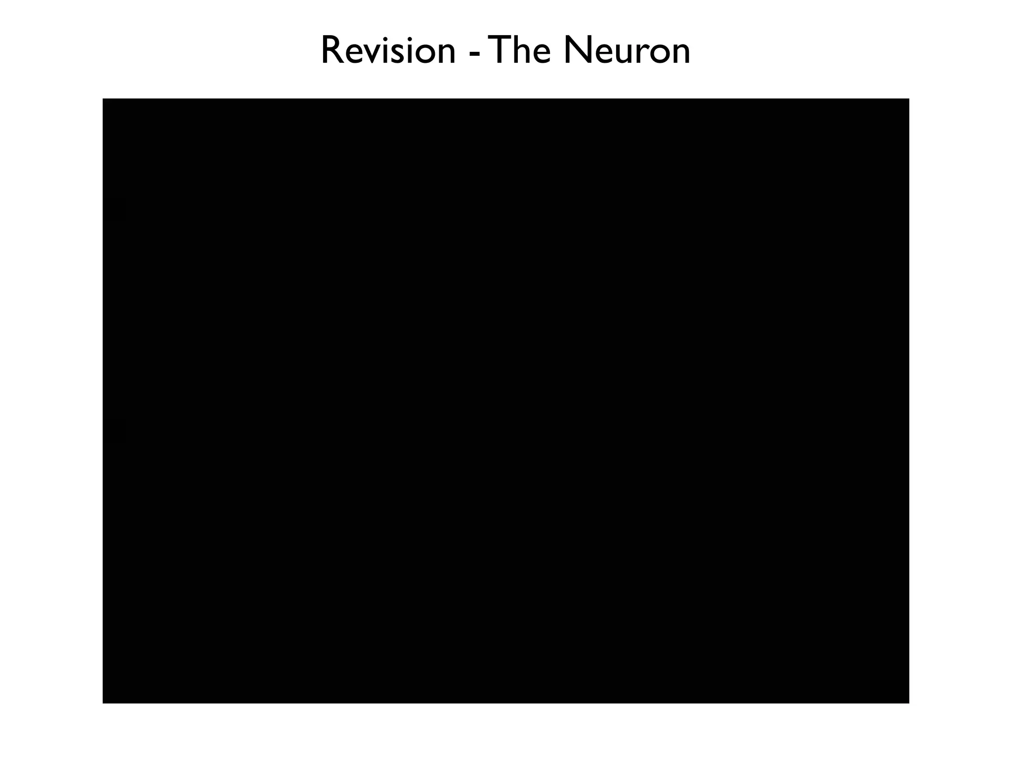 Lesson 1 the role of the neuron in memory formation 2015 | PDF | Brain ...