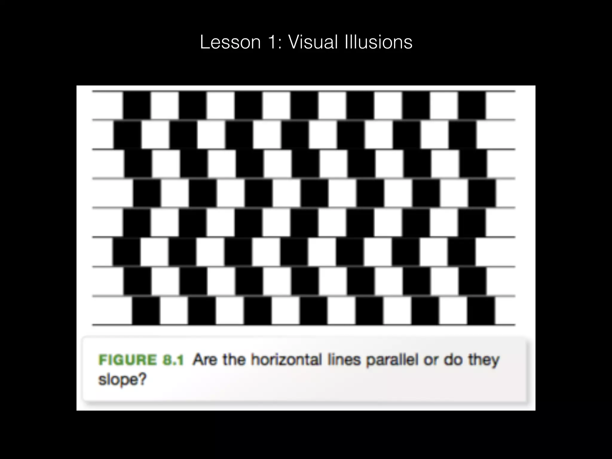 Lesson 1 visual illusion | PDF