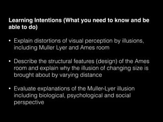 Lesson 1 visual illusion | PPT