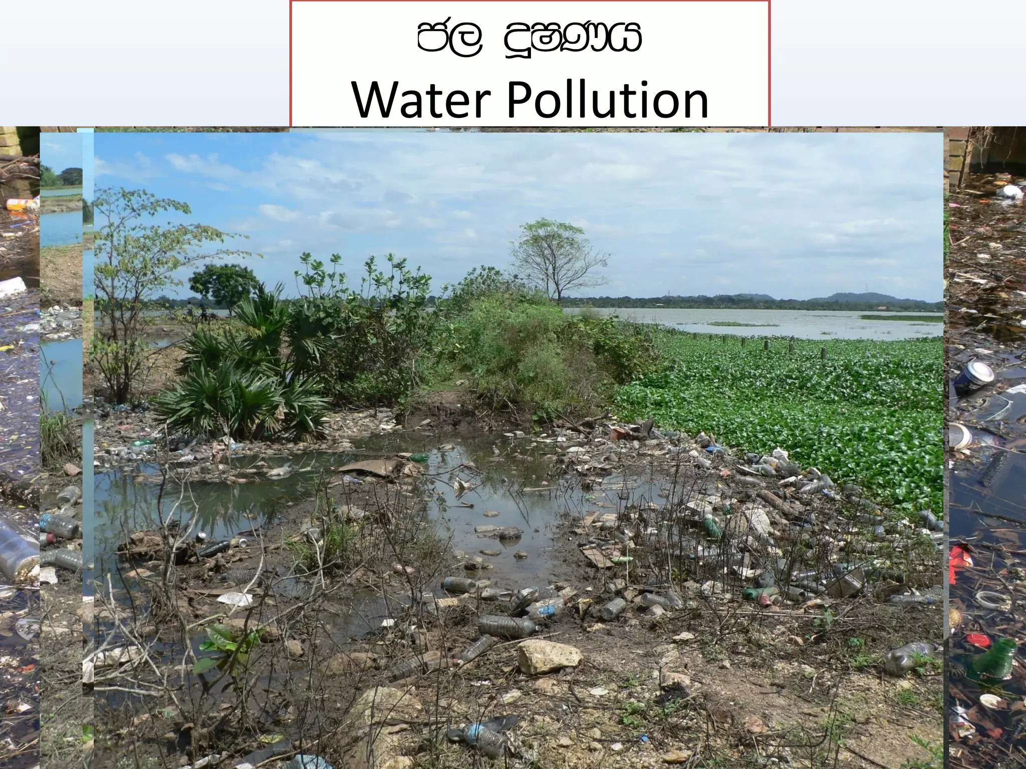 Lesson 1 water pollution | PPT