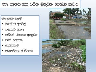 Lesson 1 water pollution | PDF