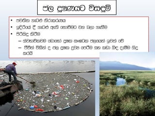 Lesson 1 water pollution | PDF