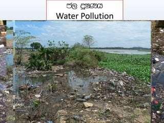 Lesson 1 water pollution | PPT