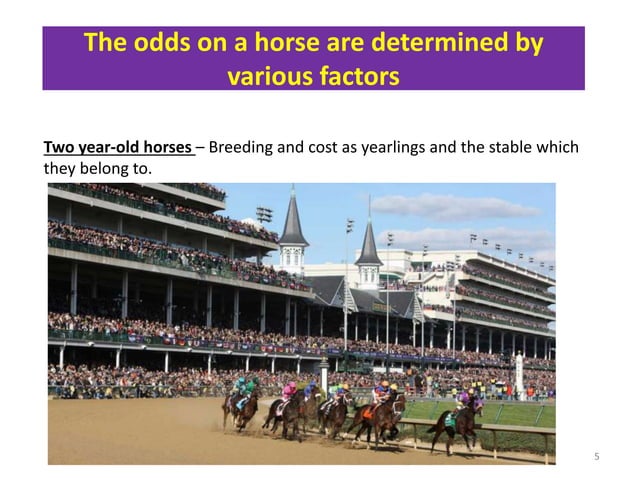 Lesson 1 what are odds | PPT