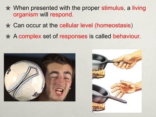 Lesson_1 - what is biology CharacteristicsofLivingThings.pptx