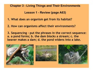 Lesson 1 where do organisms live | PDF