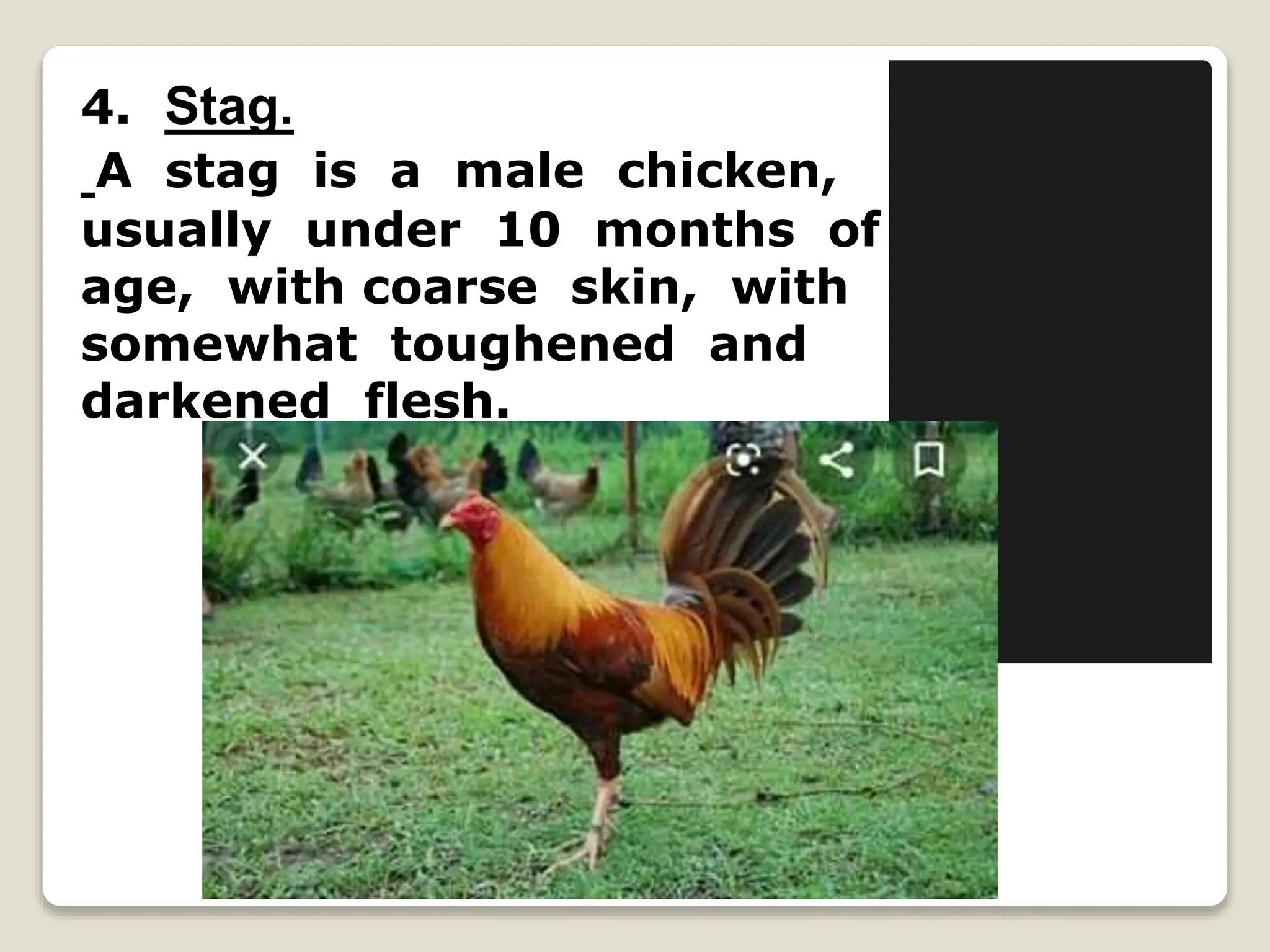 Lesson 10 - Prepare Poultry and Game Dishes.pptx