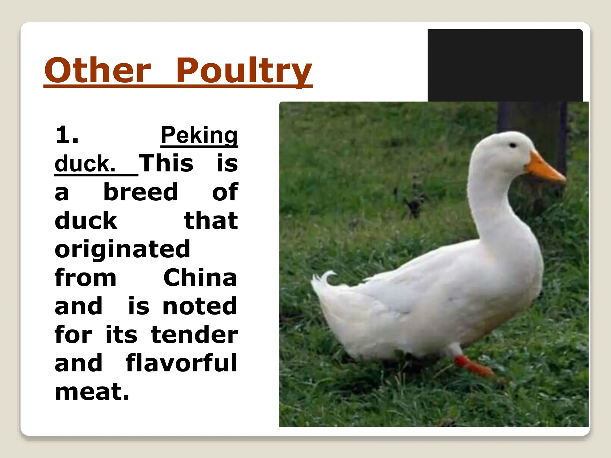 Lesson 10 - Prepare Poultry and Game Dishes.pptx