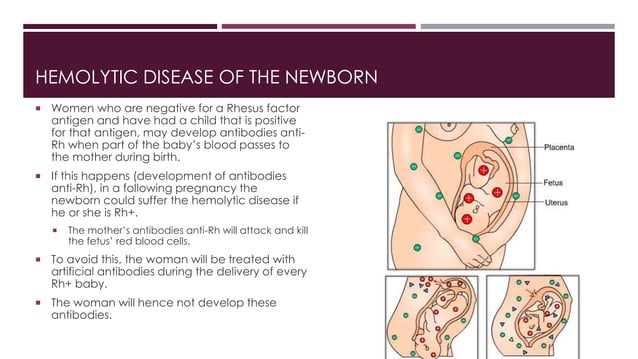 Lesson 10 complex patterns of inheritance | PPT