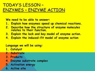 Lesson 10 enzymes intro | PPTX