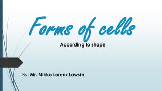 Lesson 10 forms of cells according to shape | PDF | Biological Sciences ...