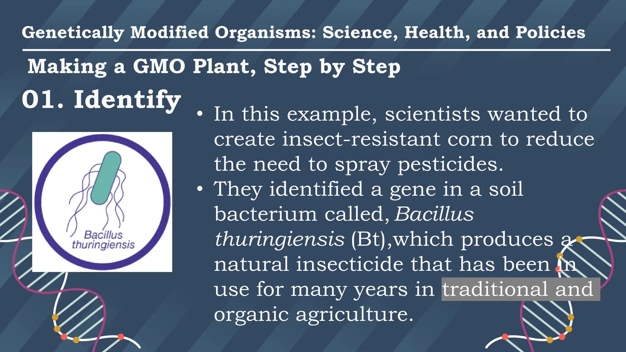 Lesson 10 Genetically Modified Organisms.pdf