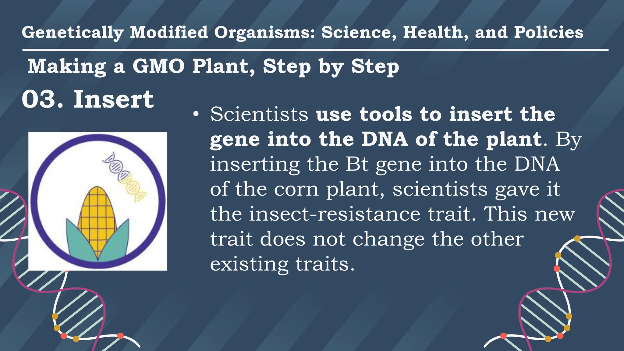 Lesson 10 Genetically Modified Organisms.pdf
