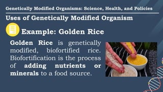 Lesson 10 Genetically Modified Organisms.pdf
