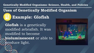 Lesson 10 Genetically Modified Organisms.pdf