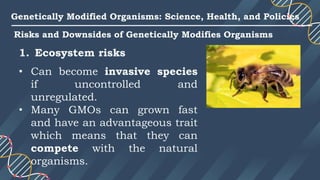 Lesson 10 Genetically Modified Organisms.pdf