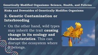 Lesson 10 Genetically Modified Organisms.pdf