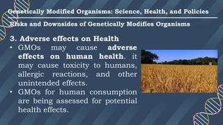 Lesson 10 Genetically Modified Organisms.pdf