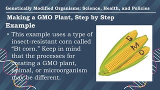 Lesson 10 Genetically Modified Organisms.pdf