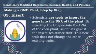 Lesson 10 Genetically Modified Organisms.pdf