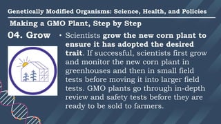 Lesson 10 Genetically Modified Organisms.pdf