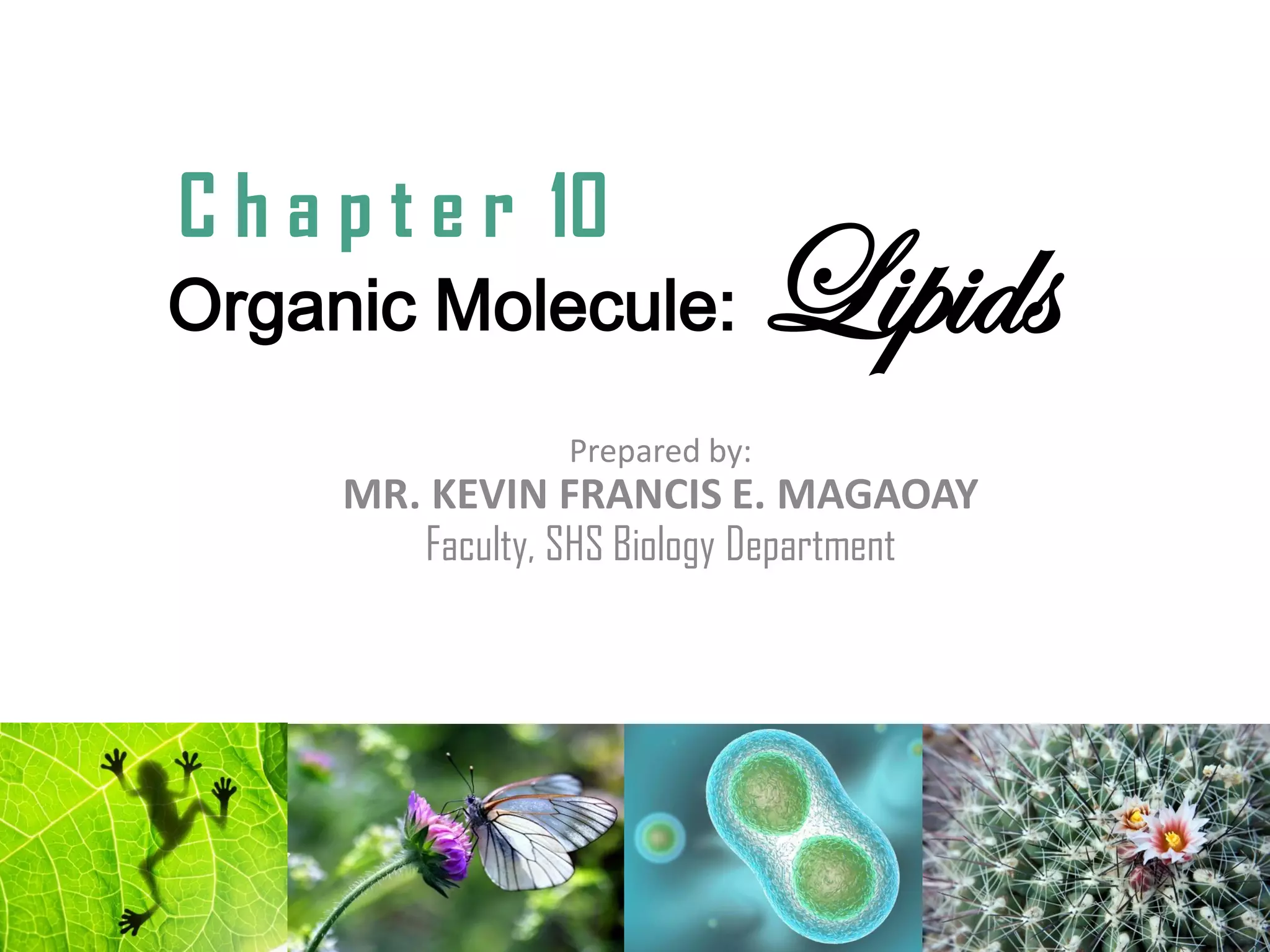 Lesson 10 Lipids | PDF