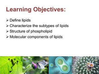 Lesson 10 Lipids | PDF